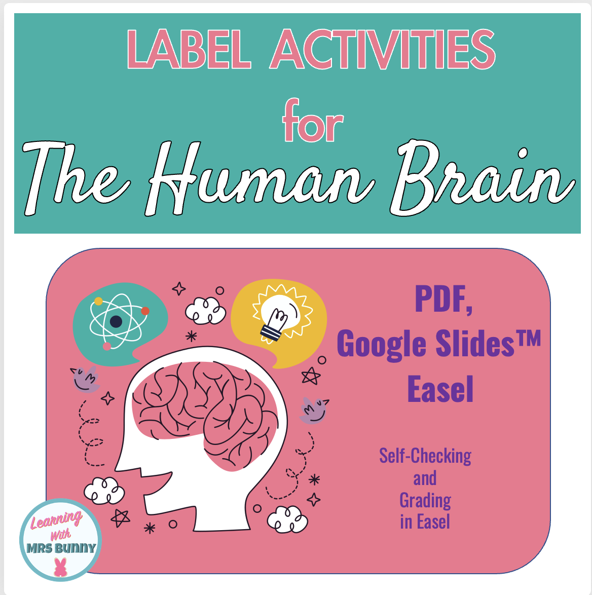 Label the Human Heart | Made By Teachers