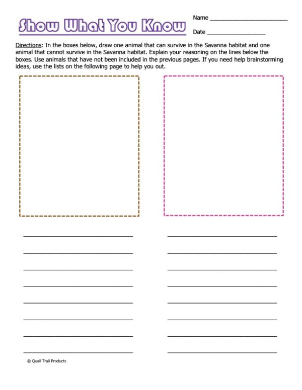 Savanna Animal Adaptations Worksheets | Made By Teachers