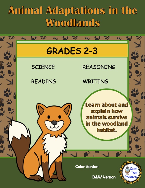 Grade 3 Math Worksheets - Sports Theme | Made By Teachers
