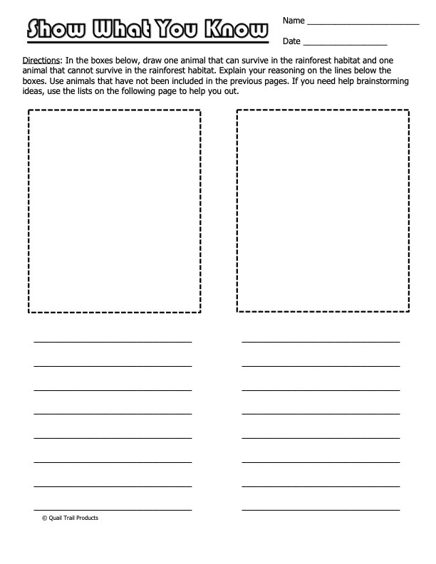 Rainforest Animal Adaptations Worksheets | Made By Teachers