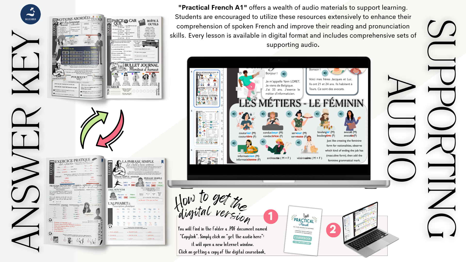 Beginner French Workbook All-in-one BUNDLE Year 1 with digital version ...