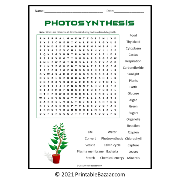 All About Photosynthesis Word Search Puzzle | Made By Teachers