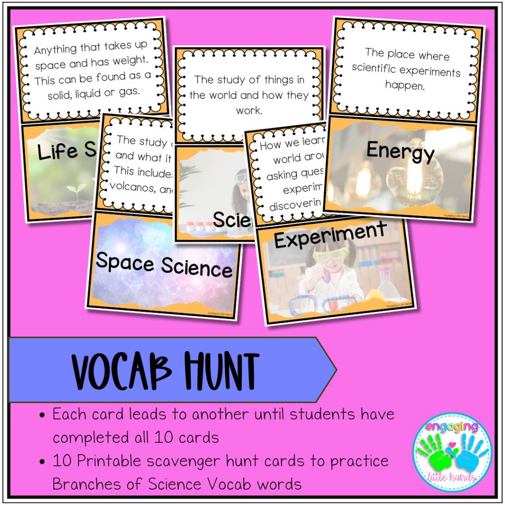 Branches of Science Vocabulary | Made By Teachers