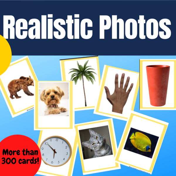 Match Sort Non-Identical Pictures for ABA Autism ABLLS-R B8 with Photos ...