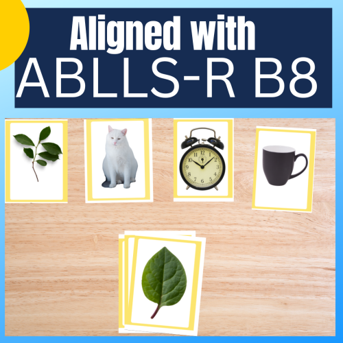 Match Sort Non-Identical Pictures for ABA Autism ABLLS-R B8 with Photos ...