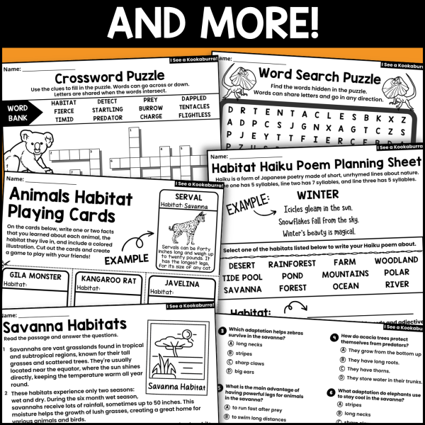 I See a Kookaburra! by Steve Jenkins Interactive Read-Aloud Activities ...