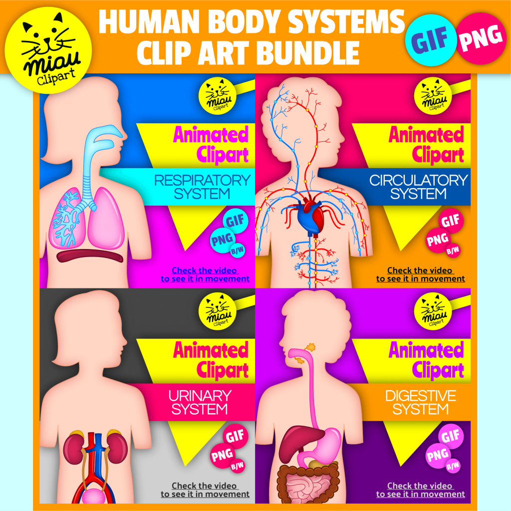 Human Body Systems Clip Art Bundle | Organs Anatomy graphics | GIFs and ...