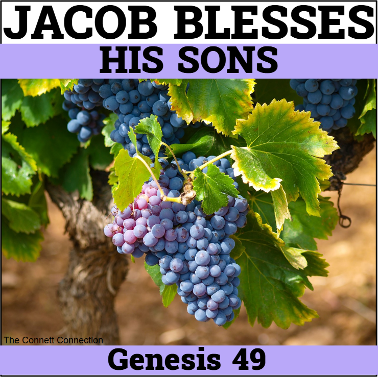 The Themes of Genesis: Rebekah: The Wife of Isaac Bible Study | Made By ...