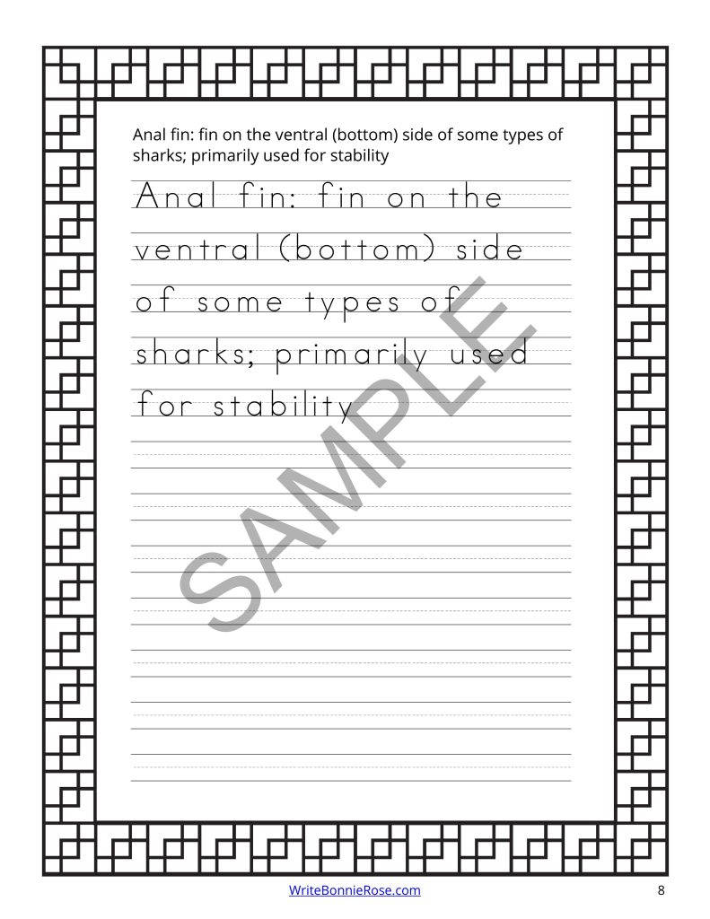 Shark Terminology & Print Copywork | Made By Teachers