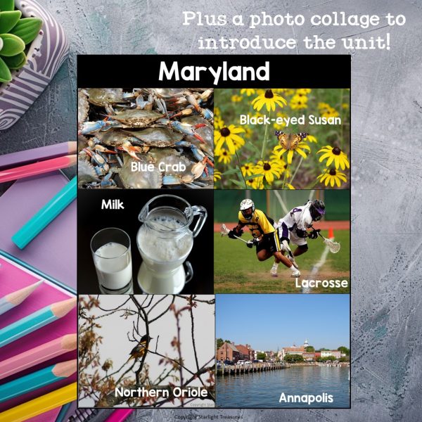 Maryland Mini Book for Early Readers - A State Study - Made By Teachers