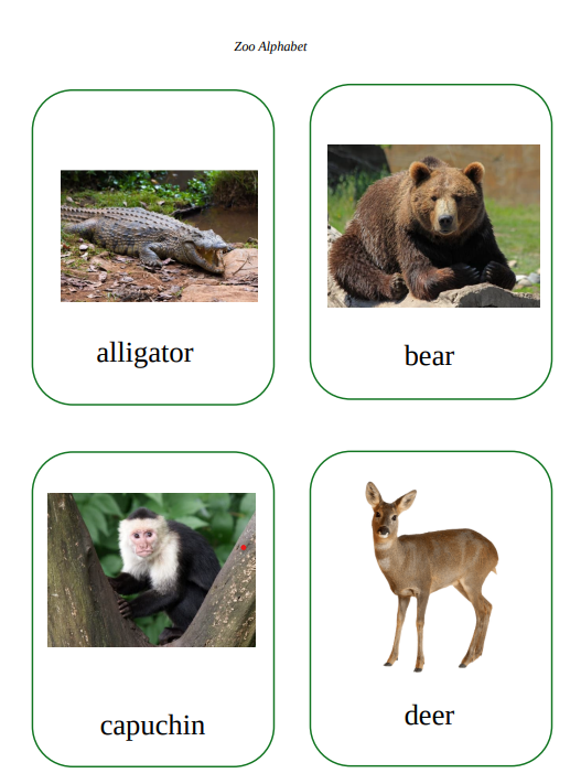 Christian Preschool Curriculum - Zooming Into the Letter Z, Bible Theme ...