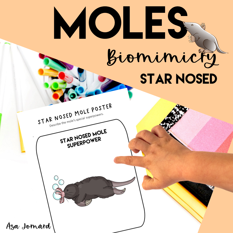 Top 5 Bundle Biomimicry | Design Inspired by Nature Compatible with ...