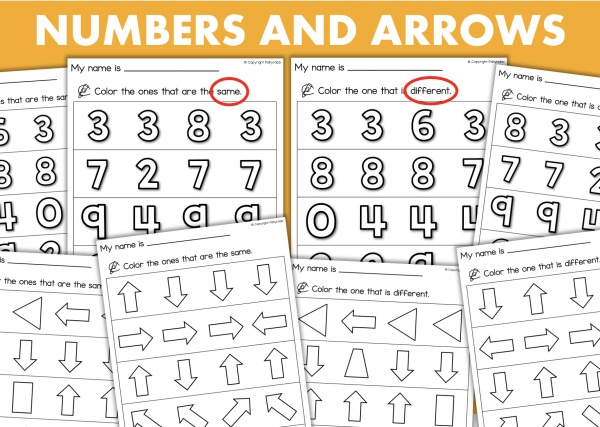 Same & Different Worksheets Visual Discrimination Objects Shapes ...