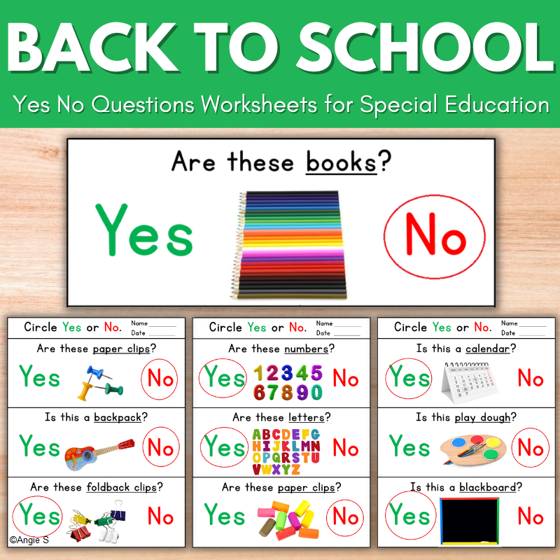 Autism Visual Support Special Education Flashcards Cue Cards FREE ...