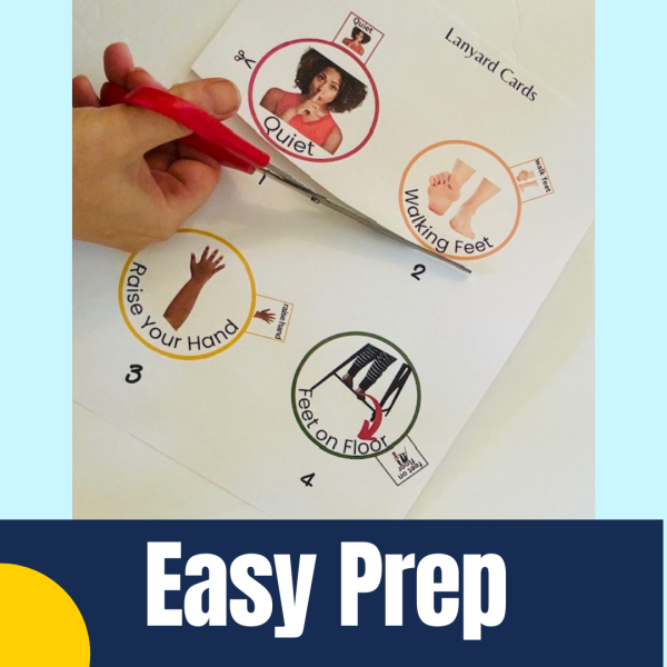 Editable Autism Lanyard Cards – Visual Cues for Behavior & Directions ...
