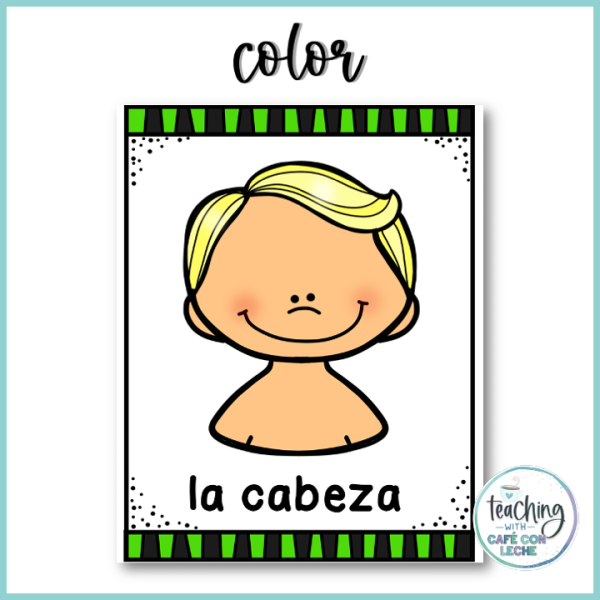 Pósters de las partes del cuerpo - Body Parts Posters in Spanish - Made ...