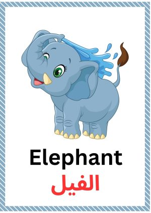 Zoo Animals in Arabic & English Flash cards. Back to School. - Made By ...