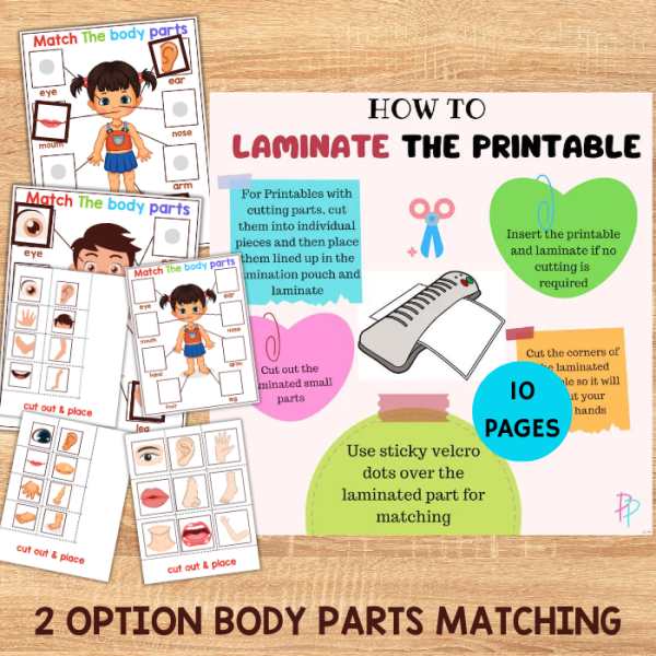 body parts matching game bundle Activity Printable, Toddler Busy Book ...