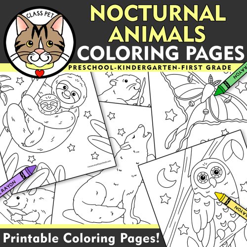 Nocturnal Animals Coloring Pages for Preschool | Kindergarten | First ...