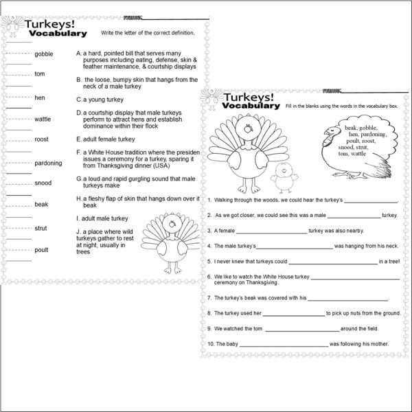 Turkey Vocabulary Words Thanksgiving Worksheets Definitions & Fill-In ...