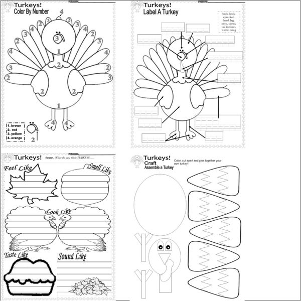 Turkey Speech Labeling Coloring Worksheets SPED Seek Find Thanksgiving ...