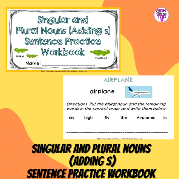 Singular and Plural Nouns Sentences Workbook Review - Made By Teachers