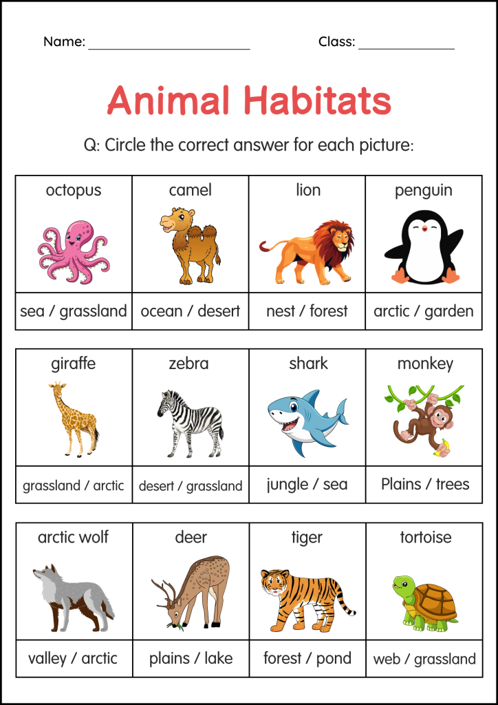 Printable Animal Habitats Worksheets - Habitat of Animals Activity for ...