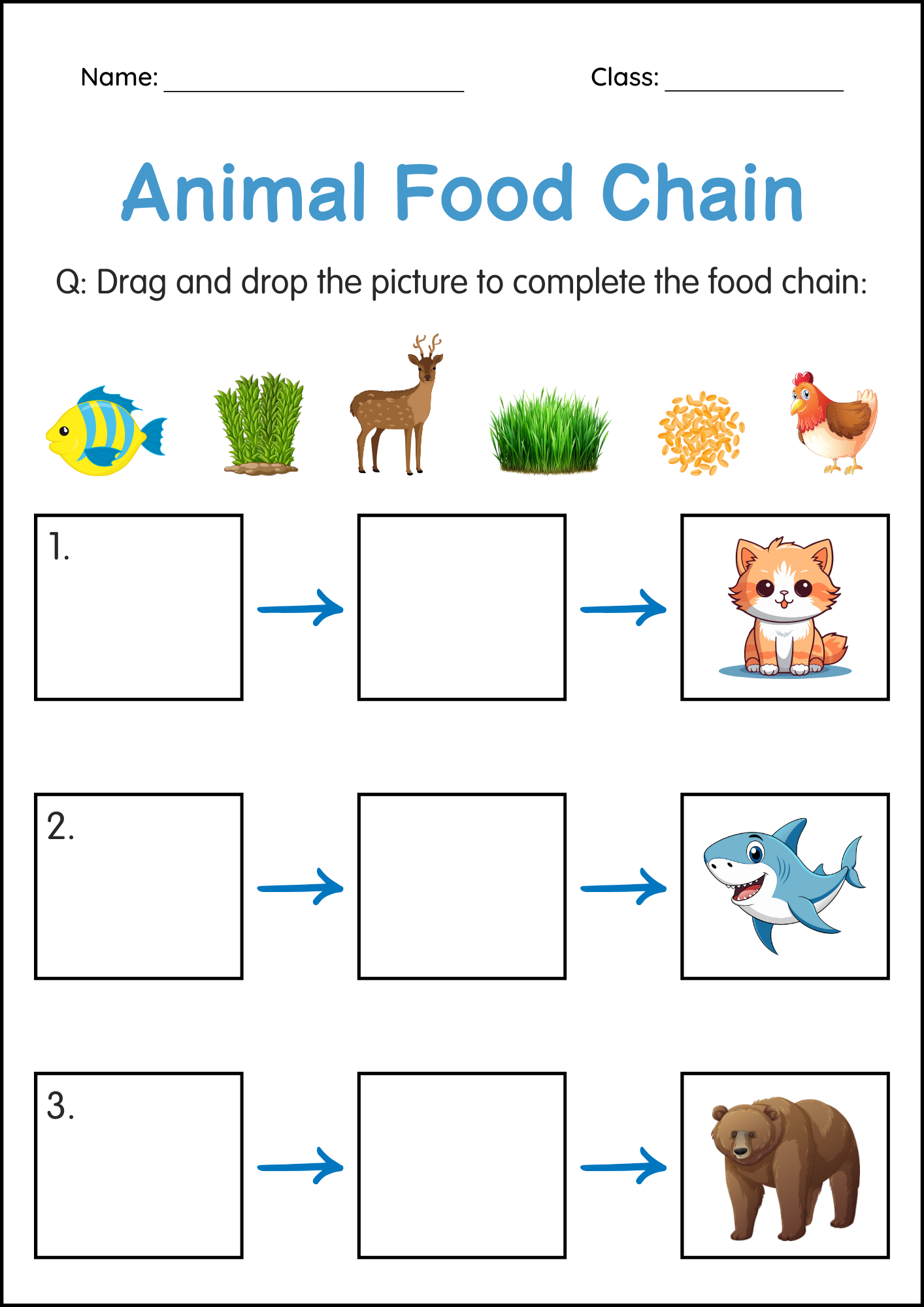 Printable Animals Food Chain Activity Worksheets for Grade 1, 2, 3 ...