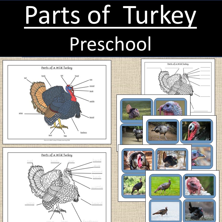 Parts of a Reindeer and Skeleton Winter Study Curriculum Elementary ...