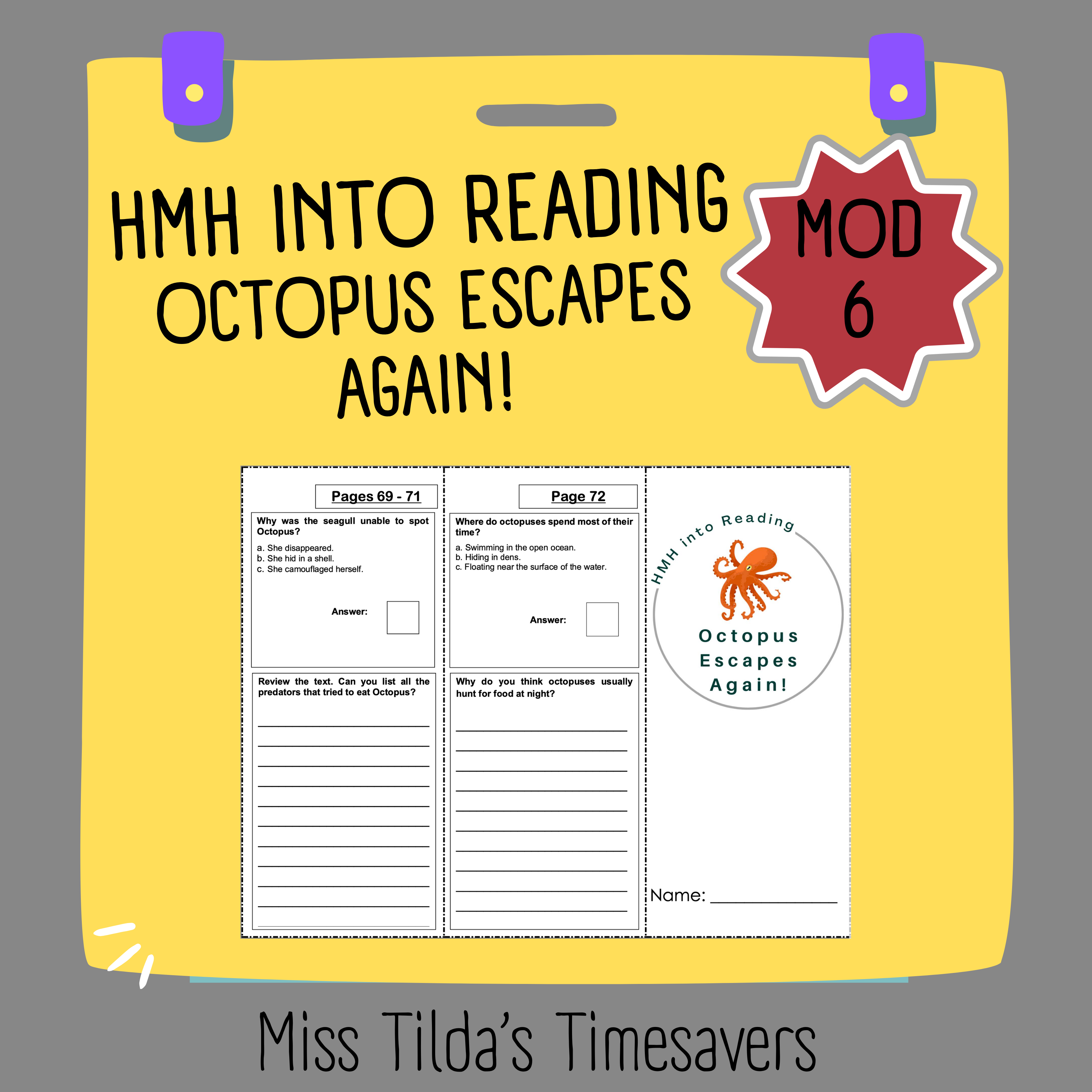 The Flag Maker - Grade 3 HMH into Reading | Made By Teachers