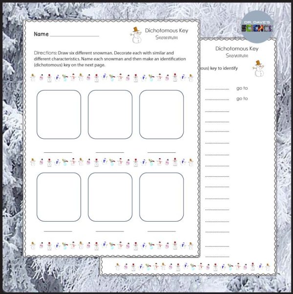 Dichotomous Key Snowman Activities Worksheet Winter Christmas Science ...
