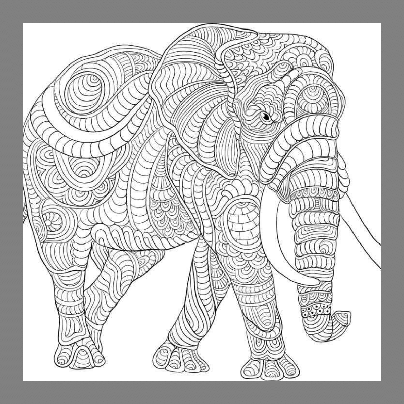 Intricate Animal Coloring Pages for Adults – Relax & Unwind - Made By ...