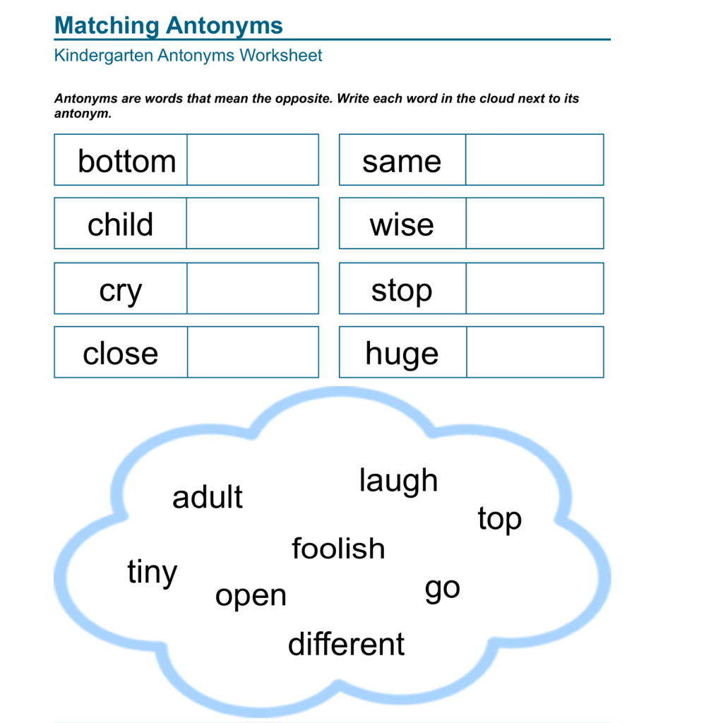 Antonym Vocabulary Building Worksheets for Kindergarten | Made By Teachers