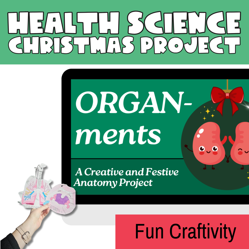 Health Science and Anatomy Christmas Activity - Organ-ments | Made By ...