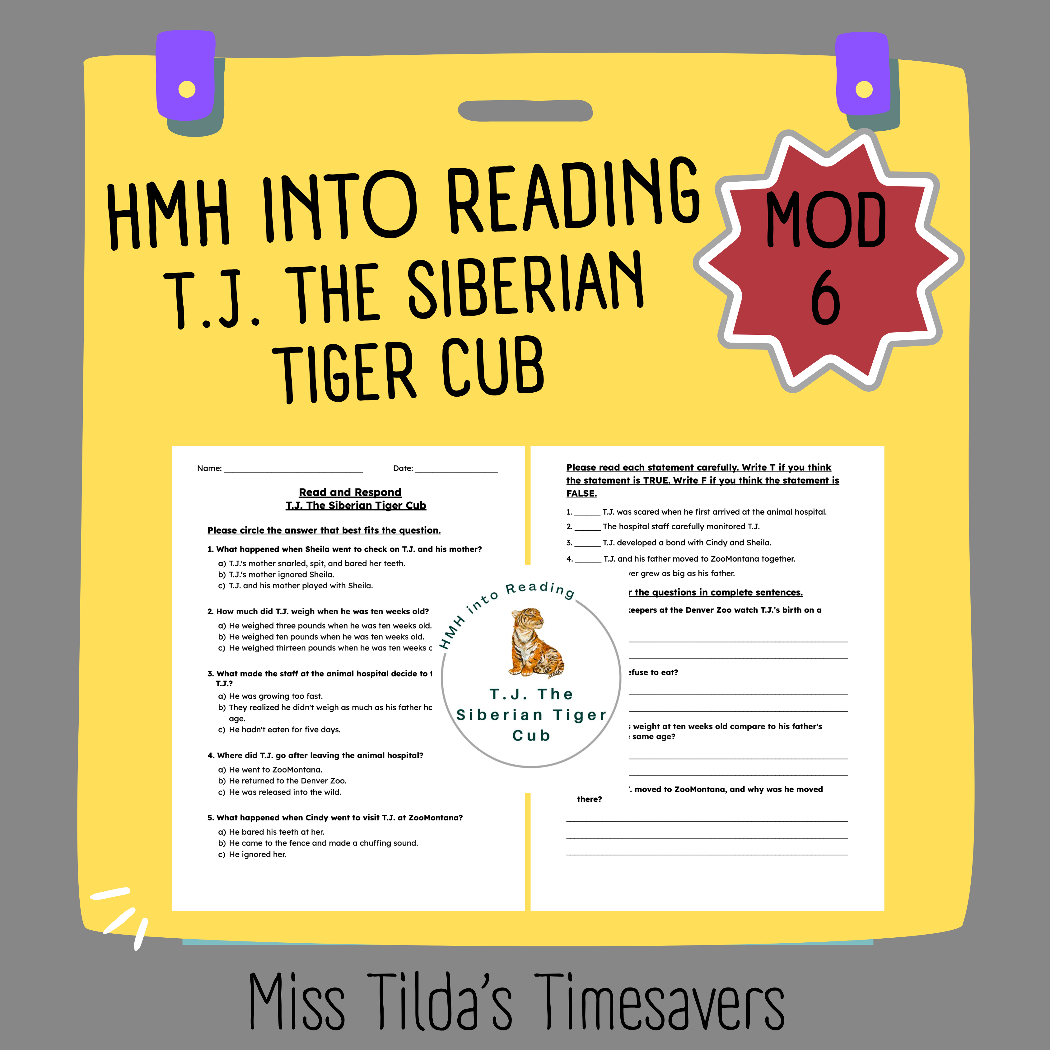 from Planet Earth - Read and Respond myView Literacy 4 - Made By Teachers