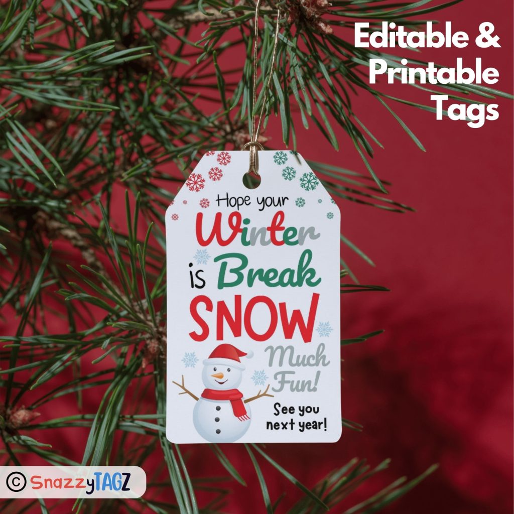 Hope Your Winter Break is Snow Much Fun Printable Gift Tag from Teacher ...