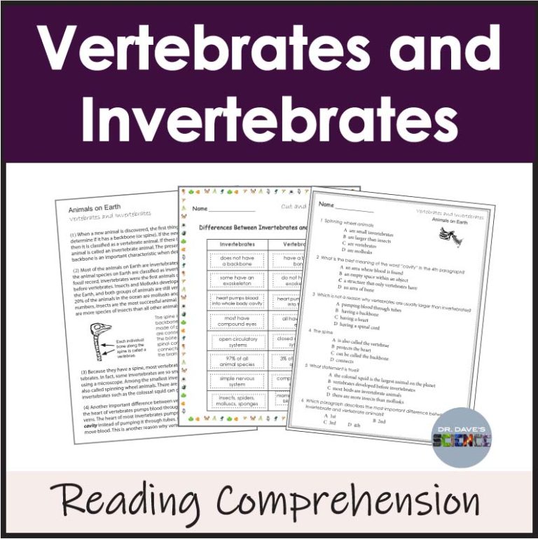 Vertebrates and Invertebrates Reading Comprehension Sort Worksheets ...