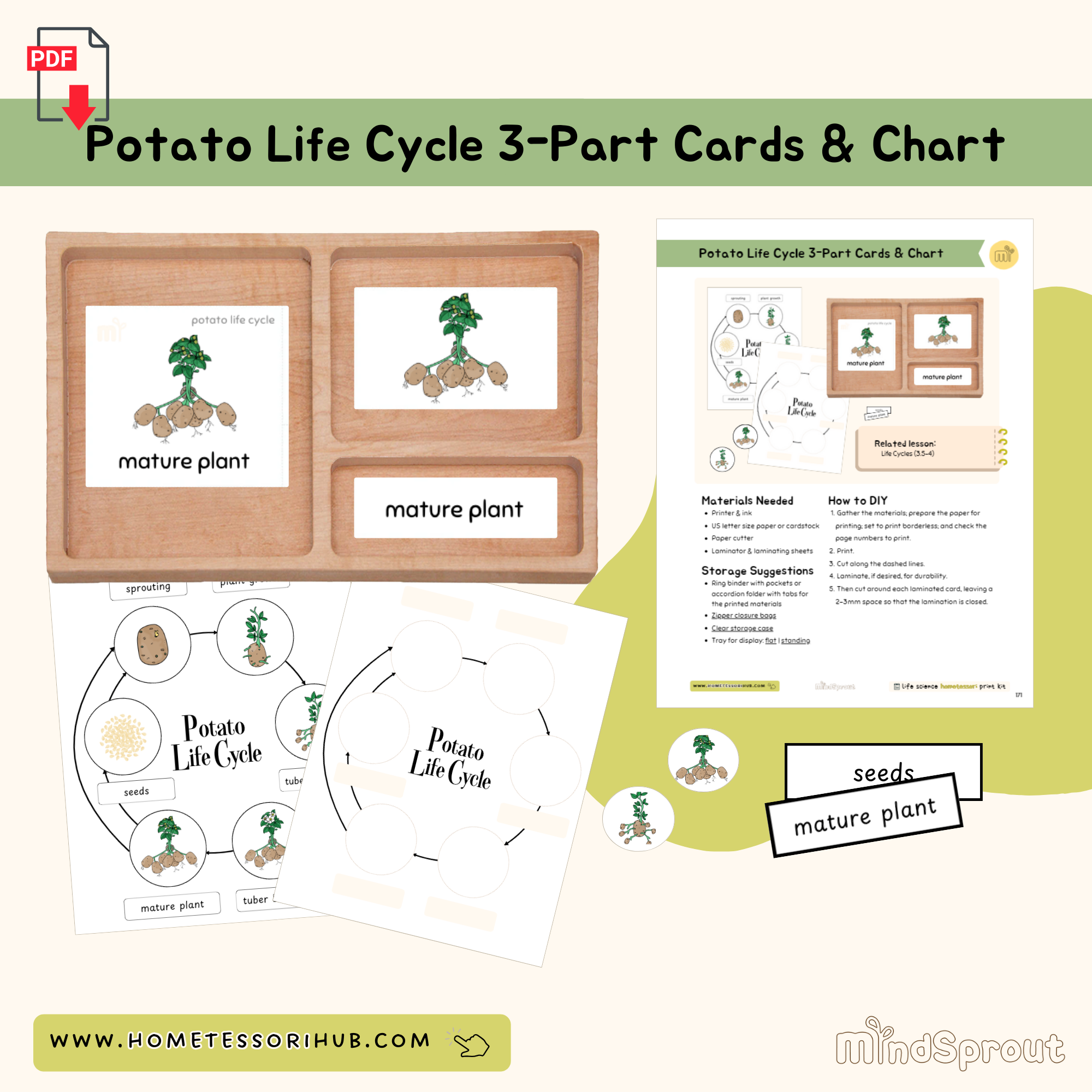 Life Cycle of a Snail Montessori Language Material Snail Life Cycle ...
