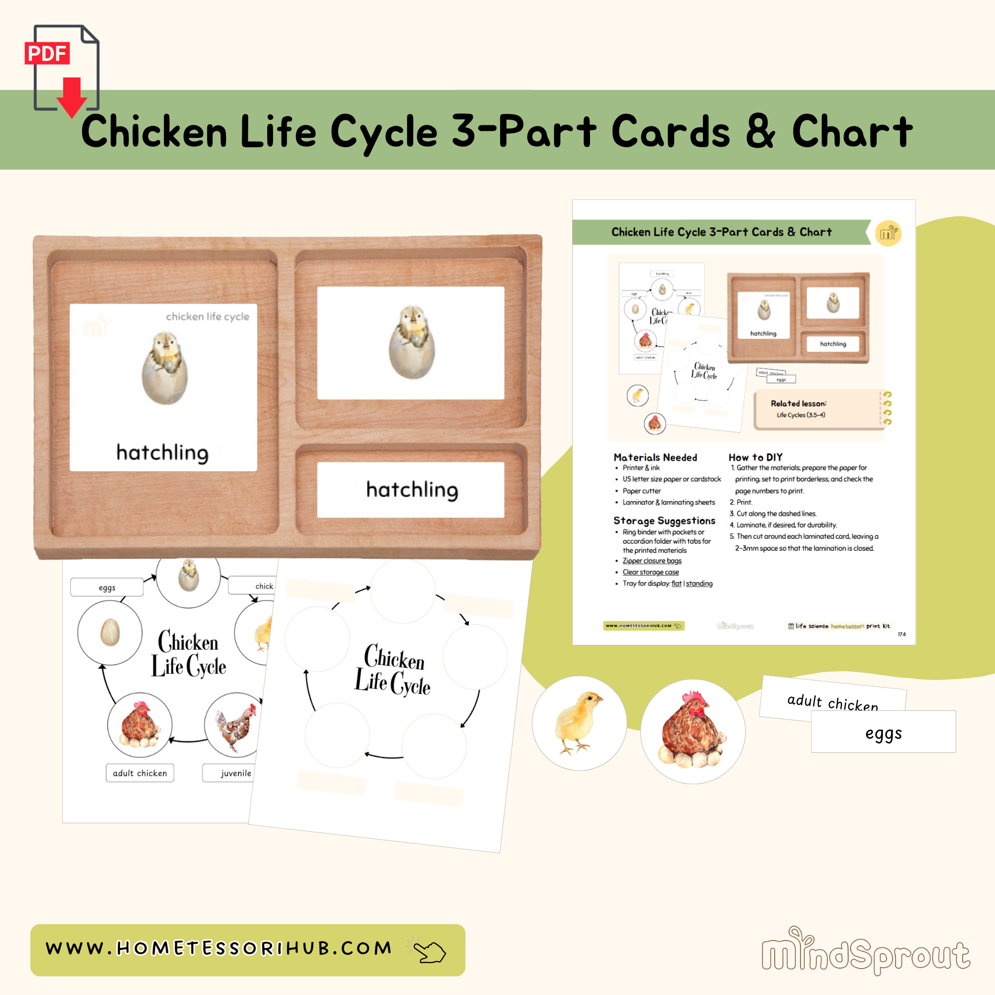 Butterfly Life Cycle 3-Part Cards and Chart Zoology Montessori ...