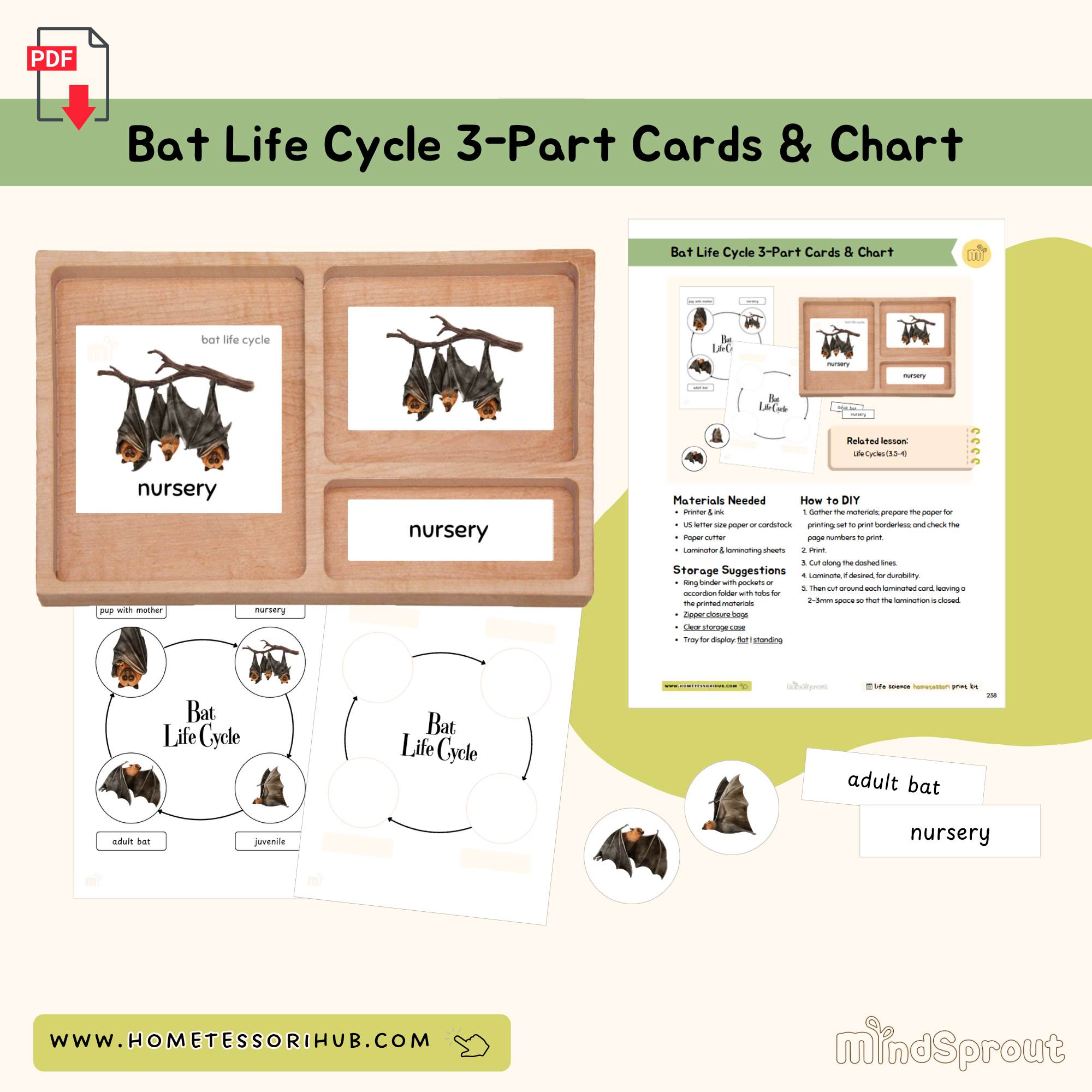 Butterfly Life Cycle 3-Part Cards and Chart Zoology Montessori ...