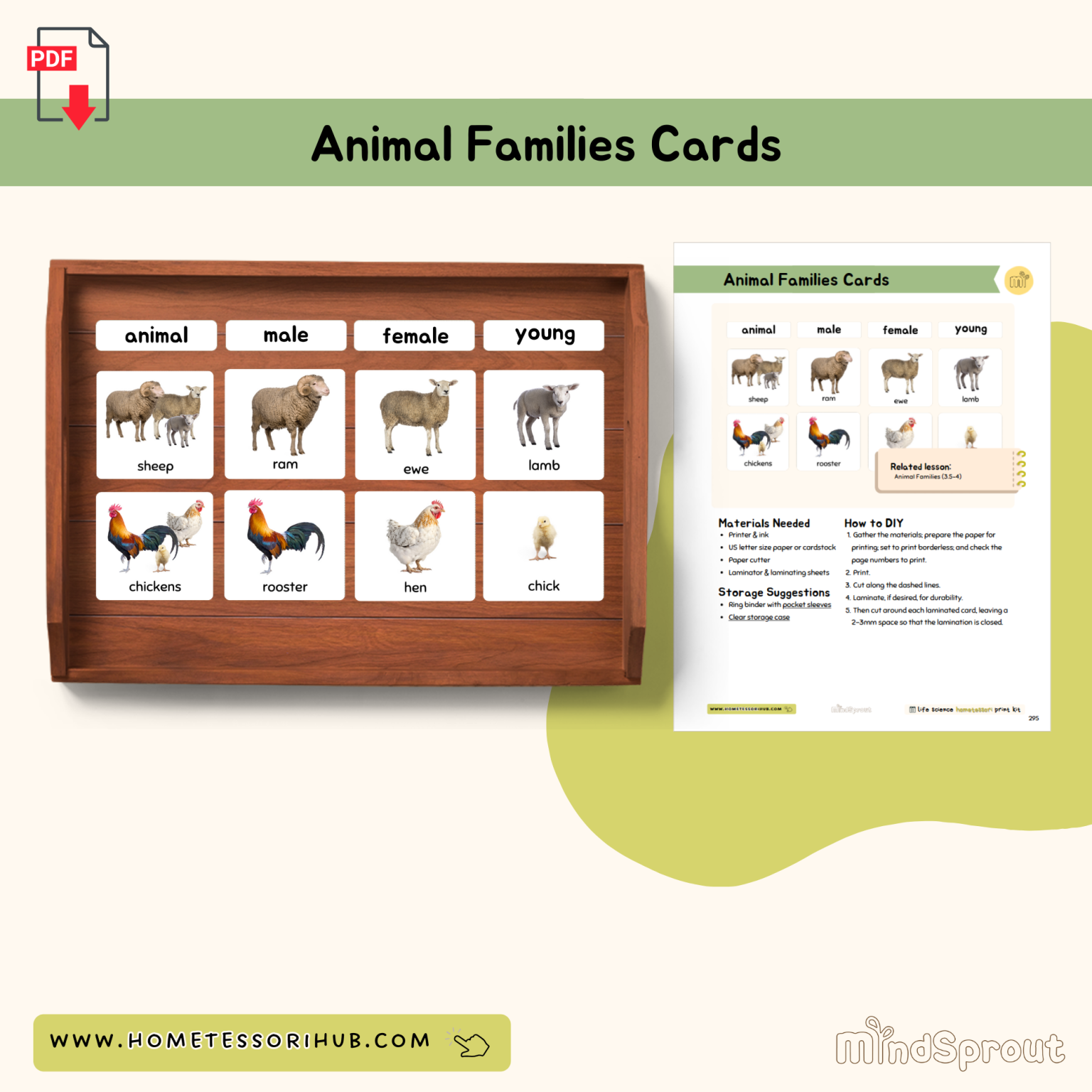 Animal Families Cards Zoology Montessori Printable Material | Made By ...