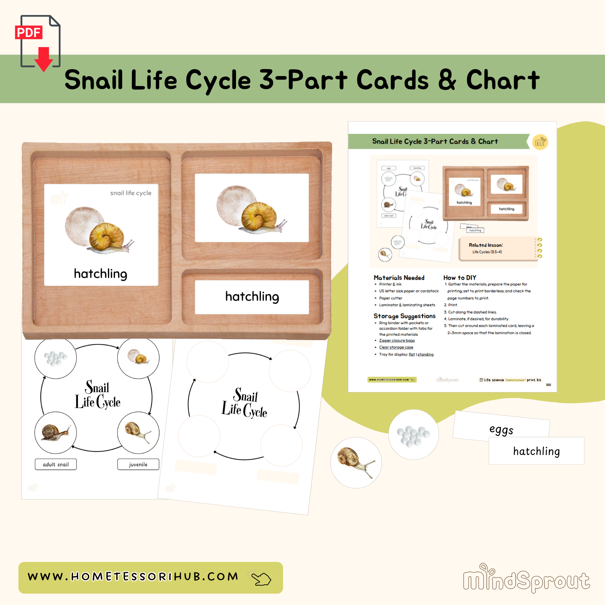 Animal Families Cards Zoology Montessori Printable Material | Made By ...