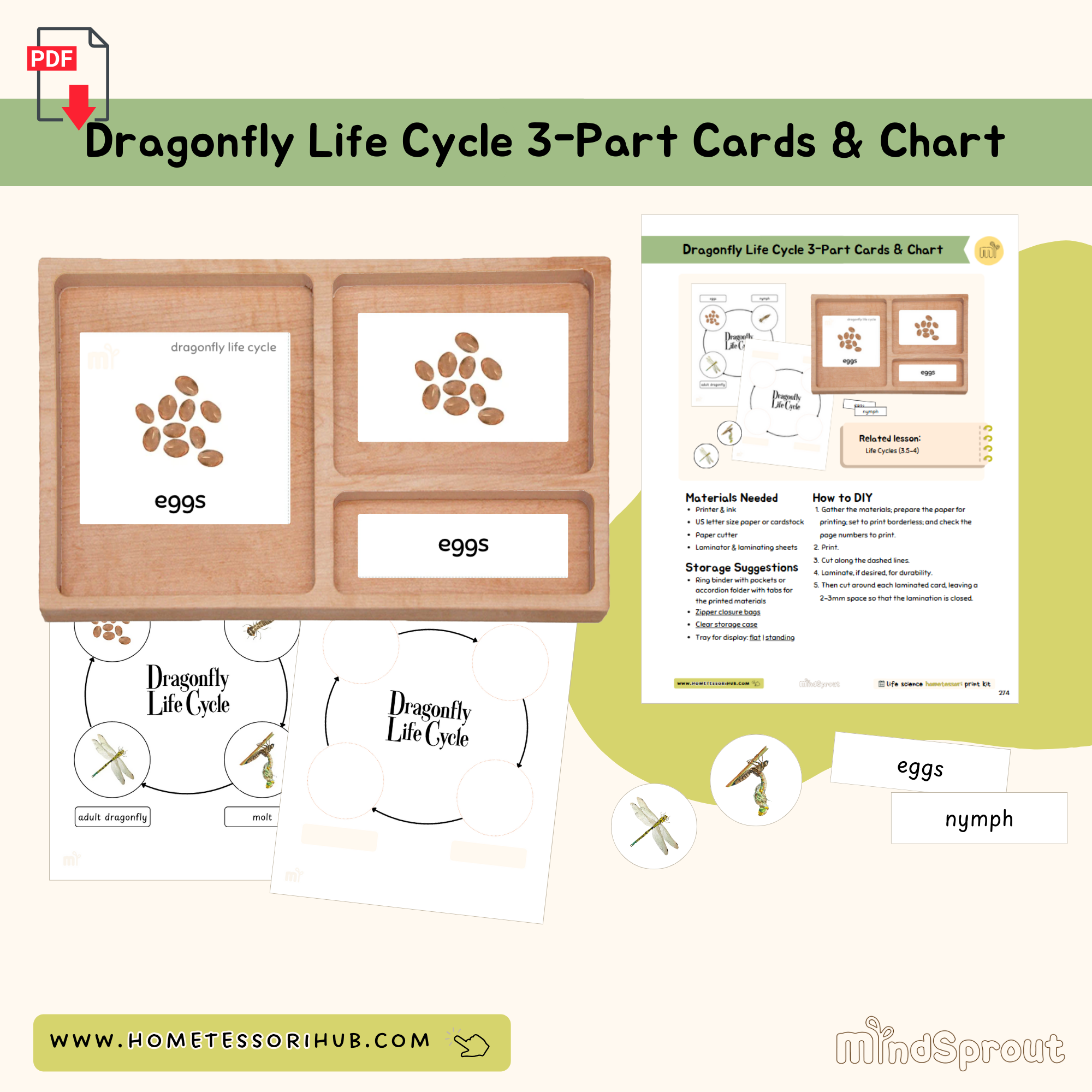 Potato Life Cycle 3-Part Cards and Chart Botany Montessori Printable ...