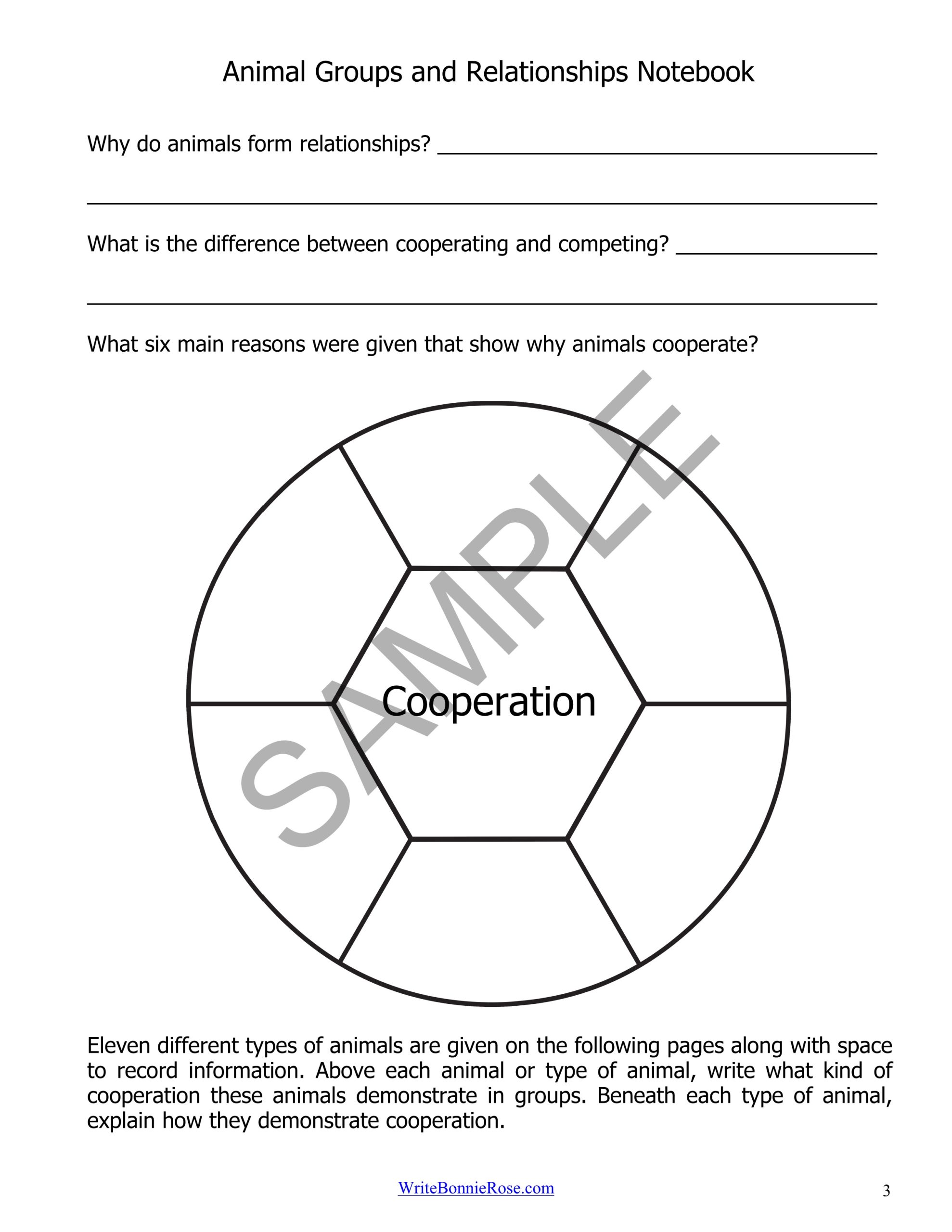 Animal Groups & Relationships Notebook-Learning About Science, Level 4 ...