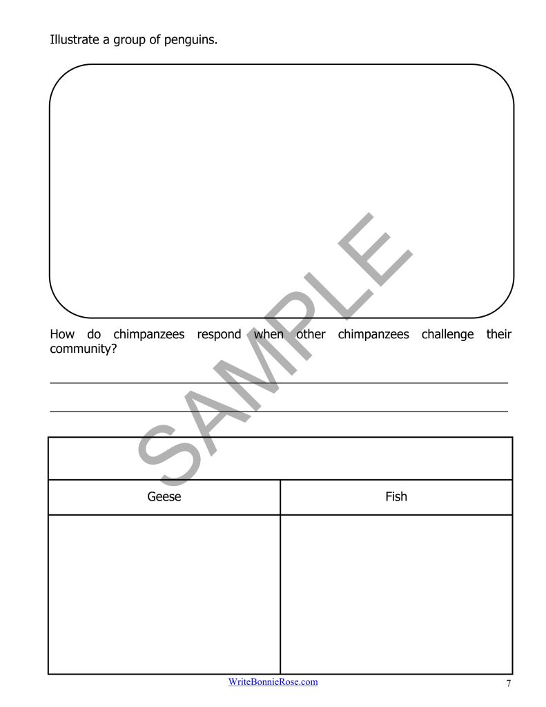 Animal Groups & Relationships Notebook-Learning About Science, Level 4 ...
