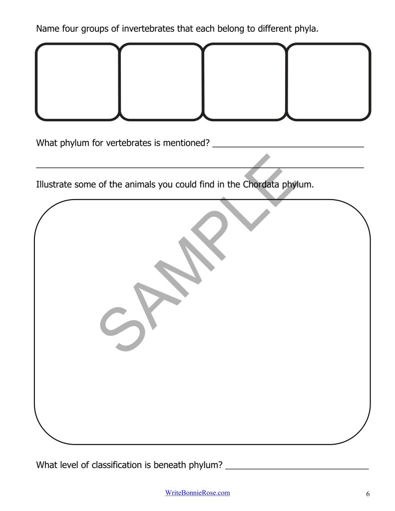 Classification of Living Things Notebook-Learning About Science, Level ...