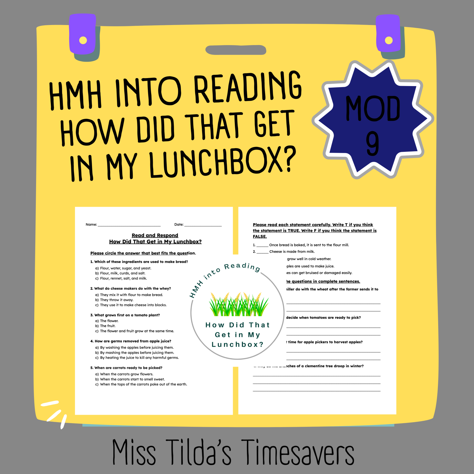 How Did That Get in My Lunchbox? - Grade 3 HMH into Reading - Made By ...