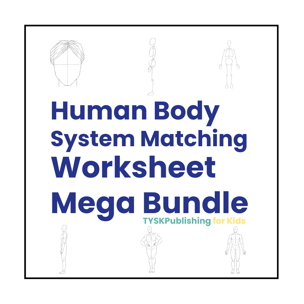 Human Body System Matching Worksheet Mega Bundle - Made By Teachers