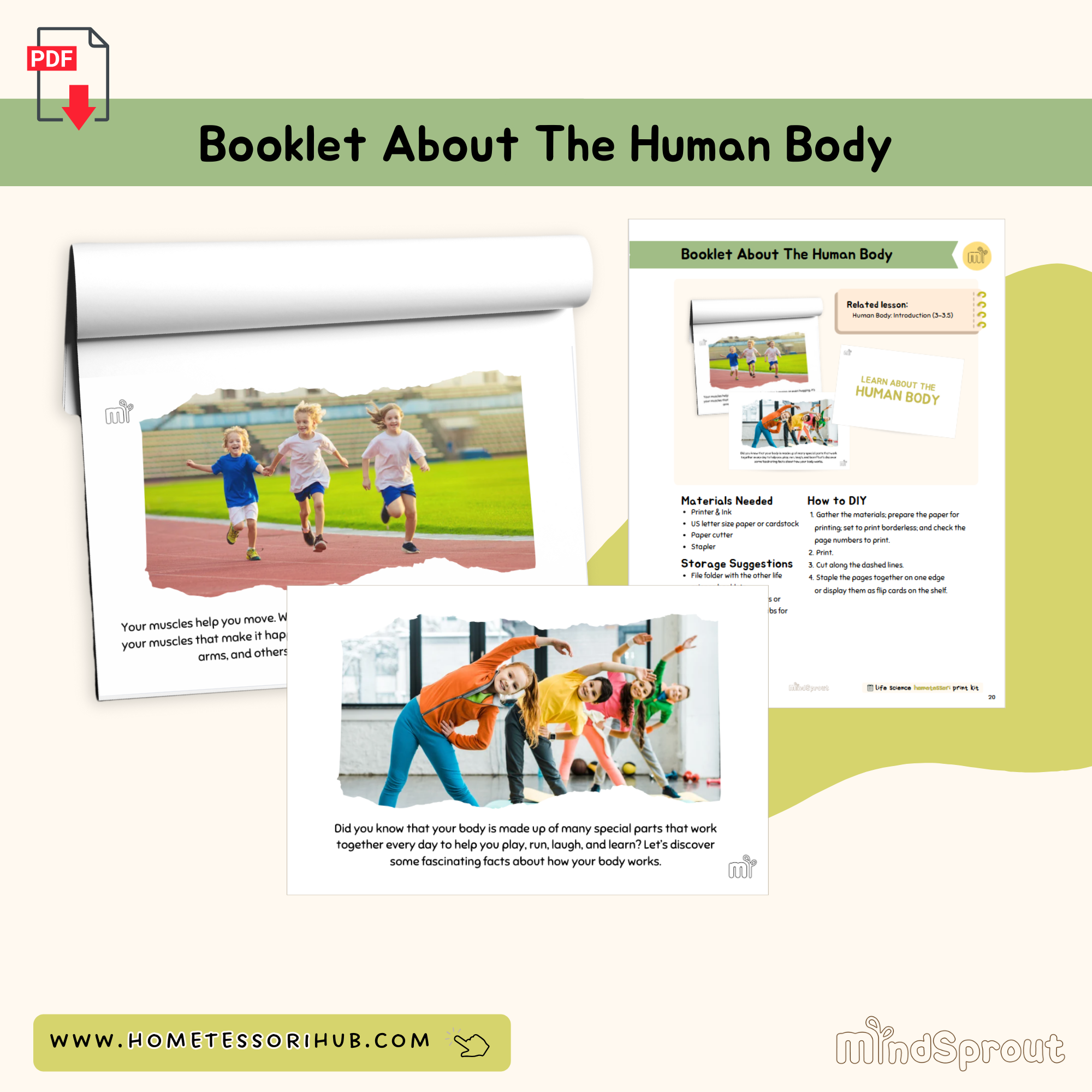 Life-Size Human Skeleton Mapping Zoology Montessori Printable Material ...
