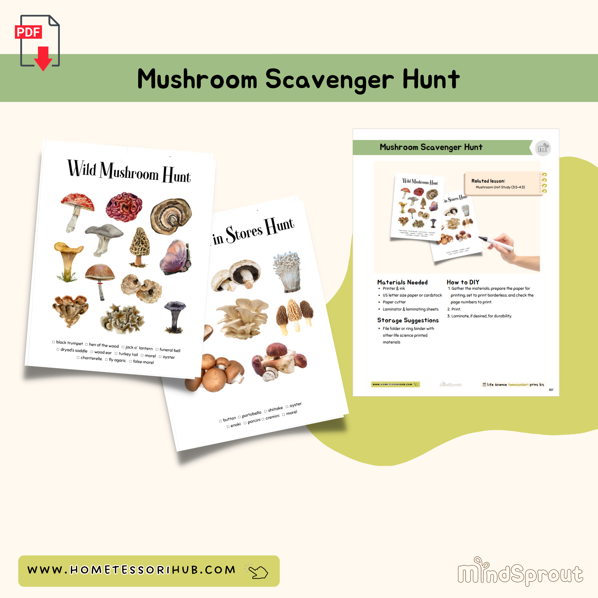 Montessori SENSORIAL Activities Monitoring Record Sheet Scope and ...